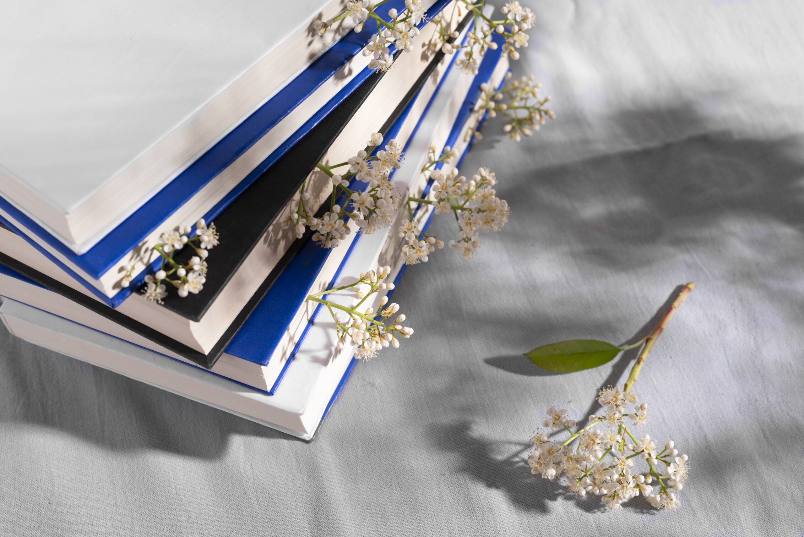 Estudo com clareza emocional: leveza que impulsiona - Prof. Raquel Medeiros